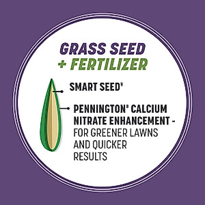Pennington Smart Seed Dense Shade Grass Mix 3 lb