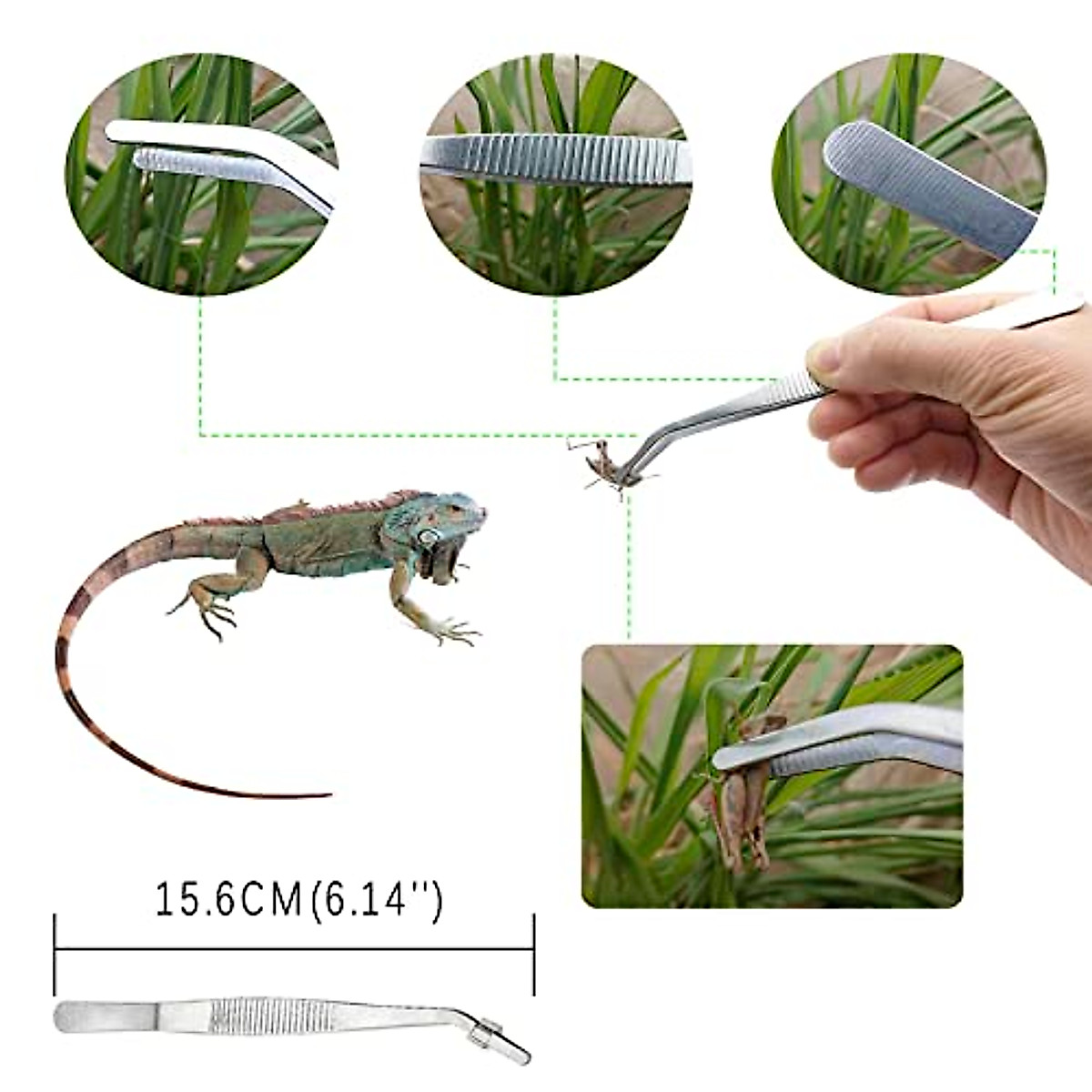 IAFVKAI Reptile Feeder Acrylic Anti Escape Gecko Chameleon Food Water Feeding Bowl Amphibians Worm Feeding Box for Snake Python Spider Lizard Scorpion Insects