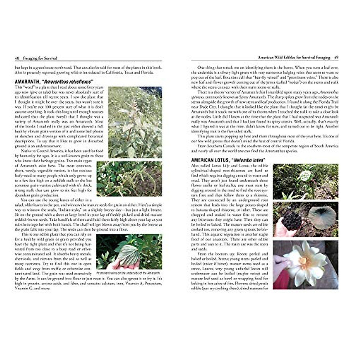 Foraging for Survival: Edible Wild Plants of North America