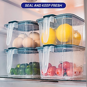 Star Ayze Berry Keeper Containers with Removable Drain Basket - Pack of 4 Fruit And Vegetable Produce Saver Container for Refrigerator Organizer Bin