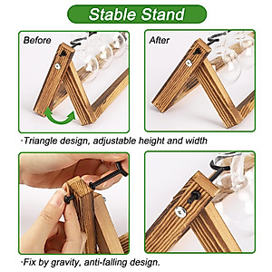 Plant Terrarium, Plant Propagation Stations with Wooden Stand, Gift for Women, Office Decoration - 5 Bulb Vase