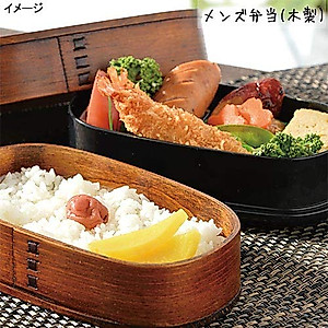 たつみや Tatsumiya 50140 Men's Lunch Box, 2 Tiers, Wood, Pickled Lacquer, Brown