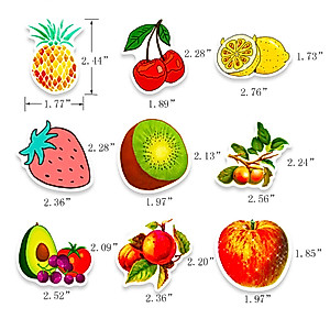 Fruit Stickers, 100 Pcs Cute Fruits Stickers for Kids, Colorful VSCO Waterproof Sticker for Water Bottle Scooter Luggage Laptop Skateboard, Fruits Sticker Bulk Holiday Gifts for Kids Teens Adults