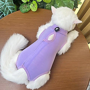 Yoolhamy Cat Recovery Suit for Post After Surgery, Elizabethan Collar & Cone Alternative, Anti-Licking Wound for Abdominal Wounds or Skin Diseases Kitten Bodysuit (Purple, L)