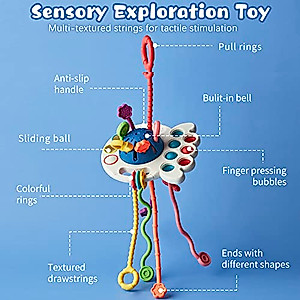 FLMRIOY Baby Montessori Sensory Toys, Octopus Pull String Activity Toys for Babies 18+ Months Toddler Early Interactive Learning Development Toy for Infant Newborn Boys Girls Gifts