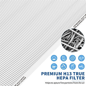 XBWW True HEPA Replacement Filter Compatible with Fellowes AeraMax 290, AeraMax 300, AeraMax DX95 and AP-300PH Air Cleaner Purifiers, Part# HF-300/9287201, Including 2 HEPA Filters and 6 Pre-Filters