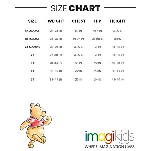 Disney Winnie the Pooh Infant Baby Girls Fleece Sweatshirt and Pants Set Pink 18 Months