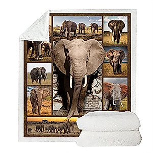 Juirnost Elephant Blanket Wild Elephant Gifts for Women Men Elephant Throw Blankets for Couch Bed Sofa Travelling Camping Elephant Decor Animal Lover Blanket Soft Plush Reversible Blanket 50" x60"