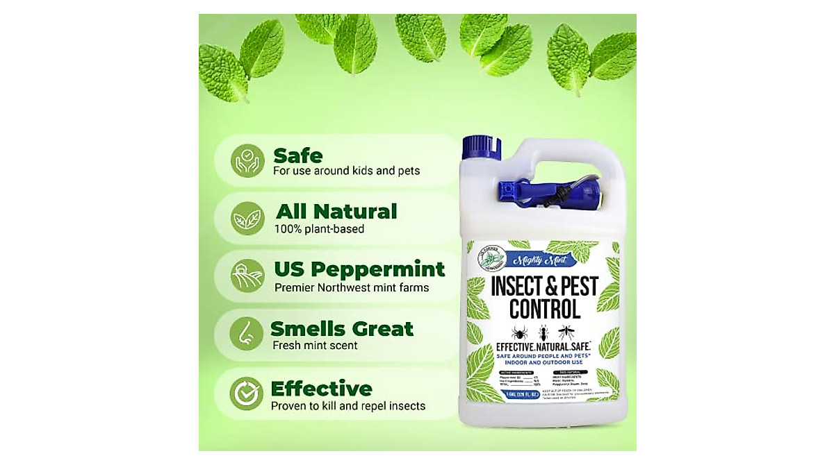 Natural Pest Control with Mighty Mint Gallon Peppermint Oil
