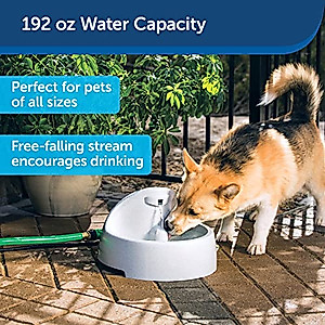 PetSafe Drinkwell Everflow Indoor/Outdoor Dog and Cat Water Fountain, Pet Drinking Fountain, 192 oz. Water Capacity Gray