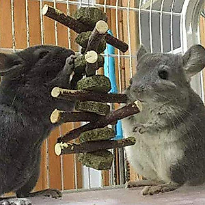 Rabbit Hamster Chew,lEIsr00y Rabbit Bunny Hamster Teeth Health Apple Wood Stick Grass Hay Cake Heart Chew Toy - Wood Color