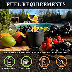 Denali Firebowls Tabletop Pit with Faux Succulents - Indoor/Outdoor Table Top Patio with S'Mores Sticks and Extinguisher (Midnight Black Firepit), 4x5 in