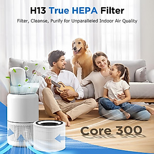 Core 300 Replacement Filter Compatible with LEVOIT Core 300 and Core 300S Air Purifier, 3-in-1 H13 True HEPA and Activated Carbon Replacement Filter, Core 300-RF, 2 Pack, White