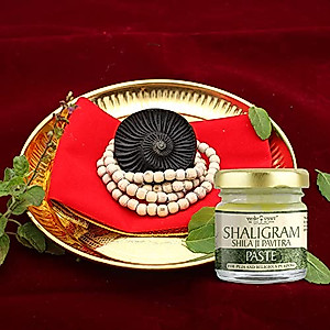 Vedic Vaani Vishnu Narayana Shree Hari Mahalaxmi Shaligram Shila (Pack of 3)