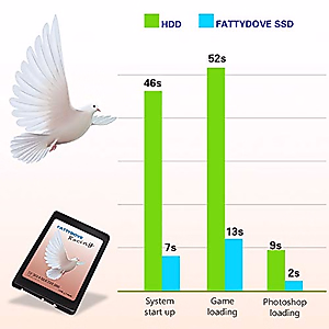 FATTYDOVE 2.5 inch SSD 120GB Internal Solid State Drive SATA3 SSD Drive 2.5 inch 6Gb/s for PC/Laptop with SATA III Cable (120GB SSD Drive)