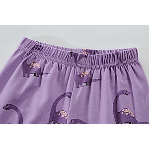 Little Hand Kids & Toddler Girls Dinosaur Pajamas 2 Piece Pjs Short Sets Summer Purple Sleepwear 5T