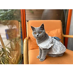 Jingmezhi Pet Cotton Embroidered Back Bowknot Hollow Out Dresses for Cat Dog Daily Clothing (S+(6.6lb~7.7lb))