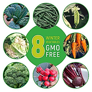 Organic Winter Vegetable Seeds Heirloom Seeds for Planting, Green Beans, Beets, Broccoli, Carrot, Cauliflower, Kale, Peas, Radish - Môpet Marketplace