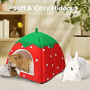 Tierecare Guinea Pig Hideout 2 Pack Guinea Pig Bed Hamster House Cage Accessories Cozy Hide-Out for Hedgehog Ferret Chinchilla&Other Small Animals