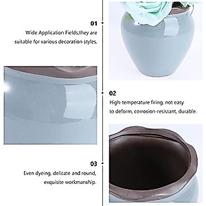 Happyyami 1Pc Succulent Flower Pot Home Decoration Ceramic Flowerpot Plant pots Indoor Mini Plant pots Garden planters Pot Bonsai Planters Home Plants Pot Ceramic Plants Pot Small Cactus