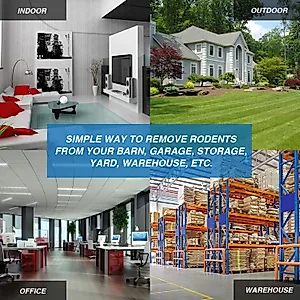 JXZH Plank Mouse Trap from Natural Wood - Humane Bucket Rat Trap - Walk The Plank Mouse Killer for Mice & Other Pests & Rodents