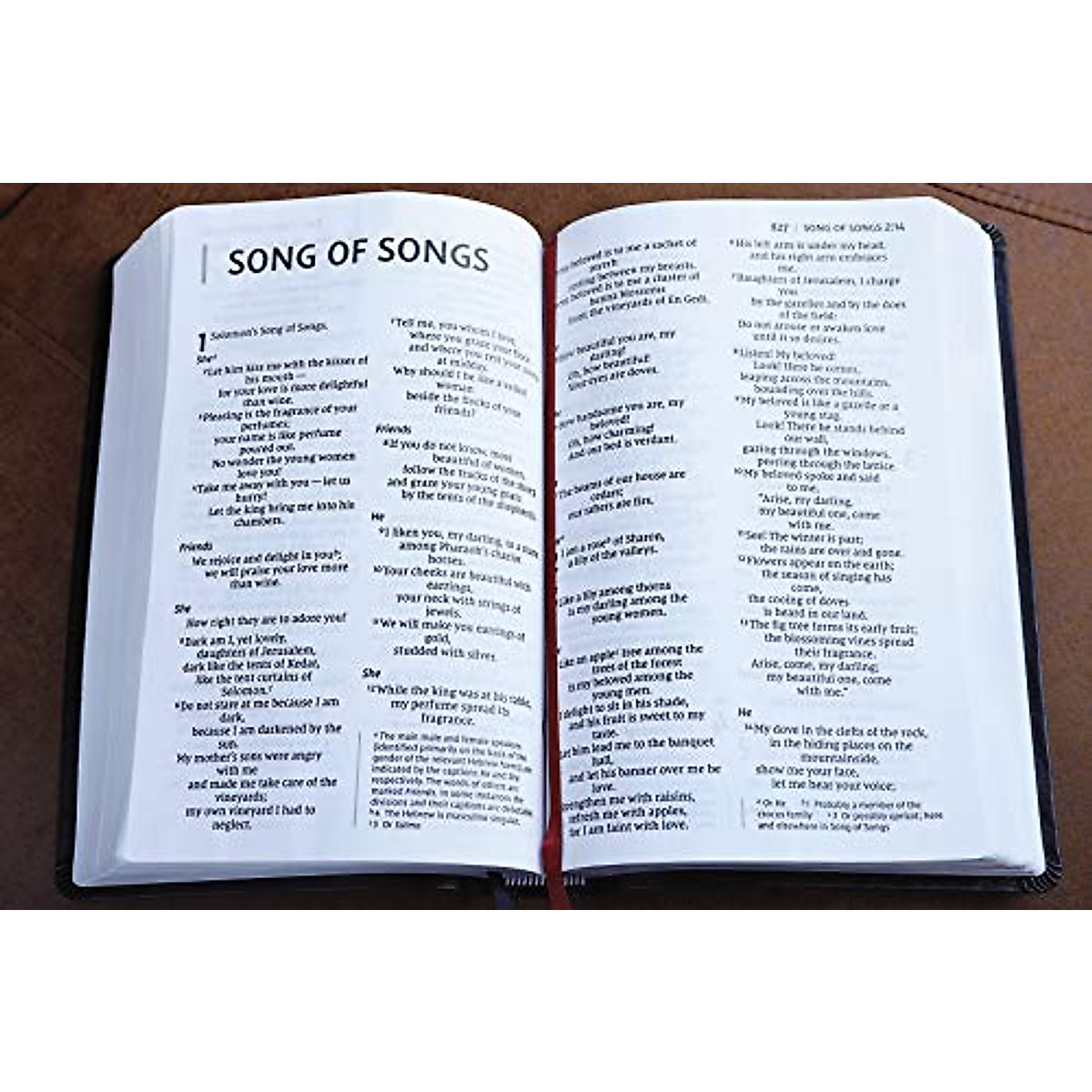 NIV, Thinline Bible, Giant Print, Bonded Leather, Black, Red Letter, Comfort Print