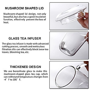 Glass Tea Infuser Cup with Strainer and Lid Gift Kit, Borosilicate Glass Teacup with Tea Filter for Blooming Tea and Loose Leaf Tea, Filter 99% of Tea Leaves, Lead-free, 17oz
