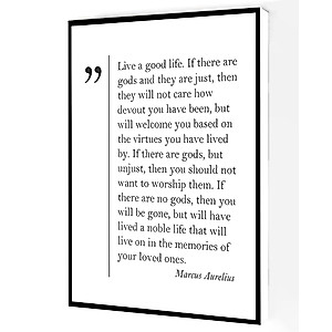 Live A Good Ilfe Canvas Wall Art,Marcus Aurelius Quote Poster,Philosophy Quotes Prints Modern Artwork Painting For Living Room Office Home Decoration 12''x16'' Framed