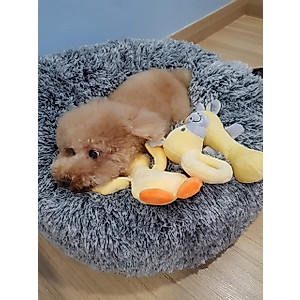 VLIFE Interactive Plush Toy Duck Set (3 Packs) with Squeaker and Jingle Sounds for Puppies and Small Dog Birthday Gift Set as Companion for Puppies and Small Breed Dogs(Premium Quality), Yellow