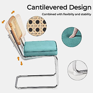 MeetLeisure Rattan Dining Chair Set of 2, Mid-Century Modern Chairs with Metal Chrome Legs, Armless Cane Back Chairs with Upholstered Cushion for Home Kitchen Dining Room, Aqua