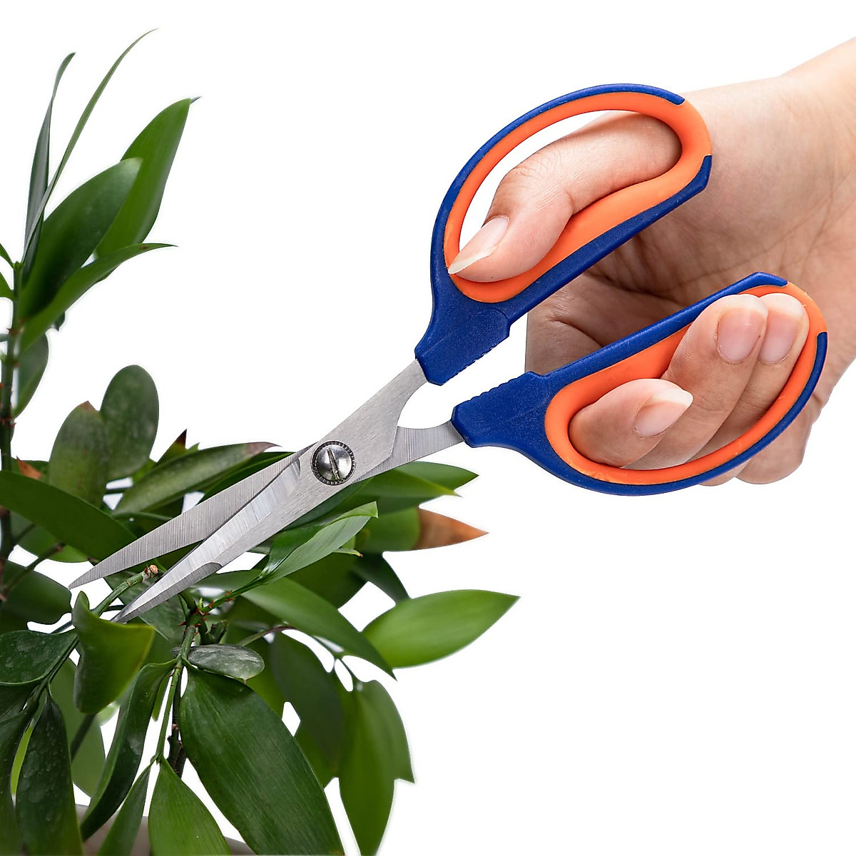 WISEPRO Bonsai Scissors, Gardening Cutters, Sharp Plant Trimming Shears, Flower Pruning Snips, Rose Cutting Tools with Stainless Steel Blade(6PACK)