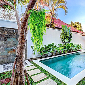 AA BADBABY 2pcs Artificial Hanging Vine Ferns Plants Fake Boston Fern Ivy Leaves Garland Greeny Chain Wall Home Room Garden Wedding Garland Outside Decoration (Fern)