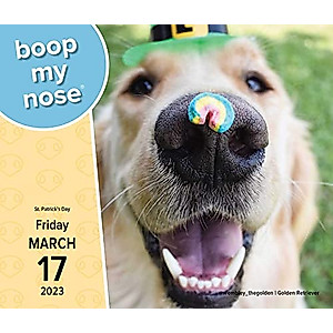 The Daily Boop 2023 Day-to-Day Calendar: By Boop My Nose