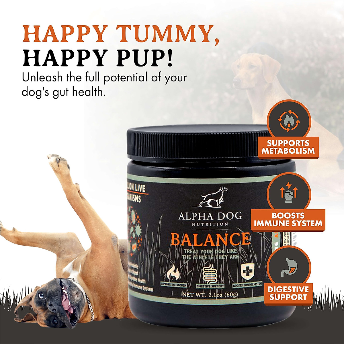 Balance Probiotic Blend for Dogs by Alpha Dog Nutrition