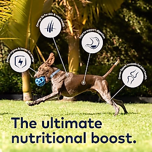 ZIWI Peak Air-Dried Dog Food – All Natural, High Protein, Grain Free and Limited Ingredient with Superfoods, Beef, 8.8 Pound (Pack of 1)