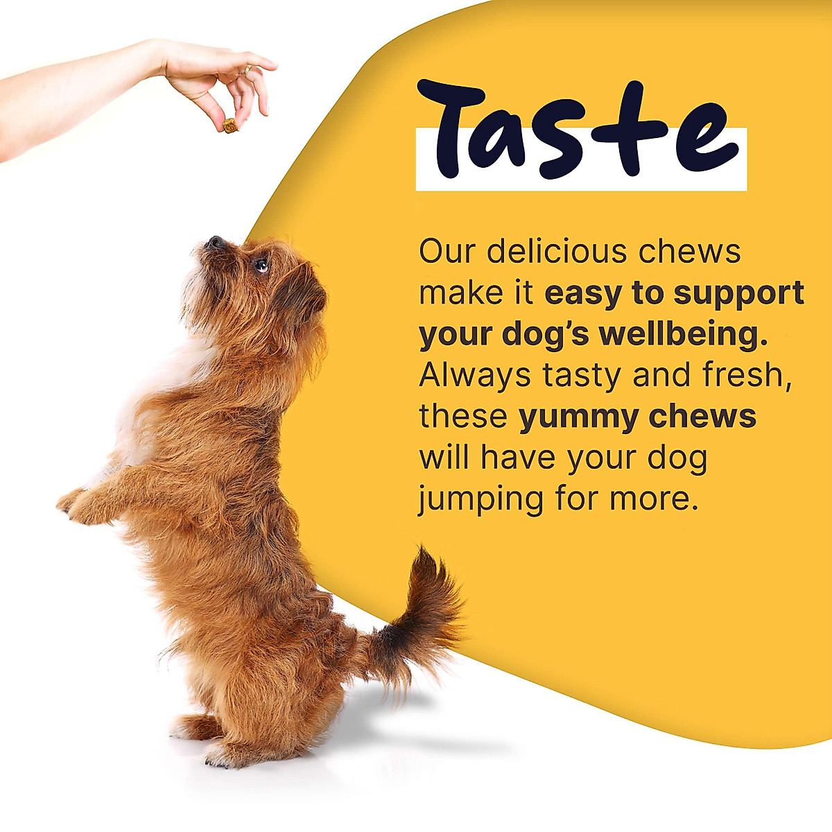 Calming Chews for Dogs with Melatonin - 60 Delicious Soft Treats for Dog Anxiety Relief for Large and Small Dogs - Includes Chamomile, Thiamine, L-Tryptophan - Promotes Rest and Relaxation