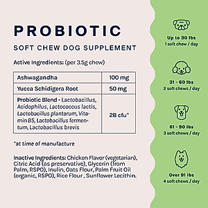 Good Trouble Pets Probiotic Supplement for Dogs - Chicken Flavor, 30 Chews - Enhanced Digestive Support (Packs of 3)