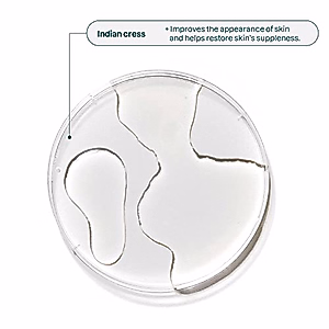 ATTITUDE Hand Soap, EWG Verified, Plant and Mineral-Based Ingredients, Vegan and Cruelty-free Personal Care Products, Refillable Aluminum Bottle, Petitgrain and Jasmine, 16 Fl Oz