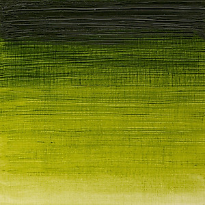 Winsor & Newton Winton Oil Color, 37ml (1.25-oz) Tube, Sap Green