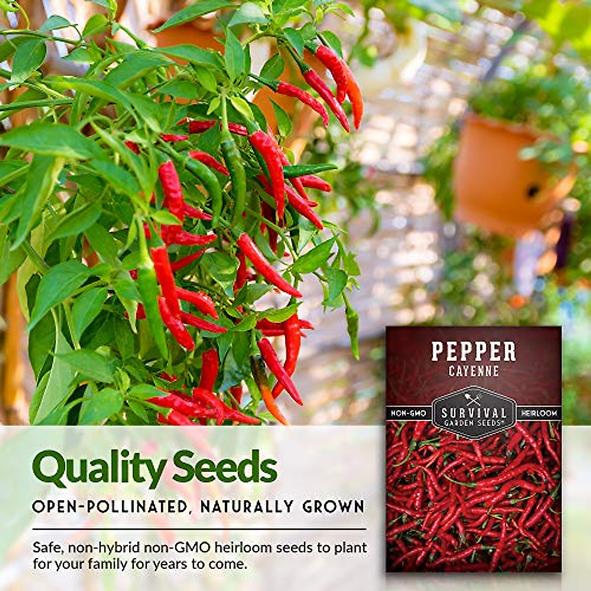 Survival Garden Seeds - Red Cayenne Pepper Seed for Planting - Packet with Instructions to Plant and Grow Hot Chili Peppers in Your Home Vegetable Garden - Non-GMO Heirloom Variety - Single Pack