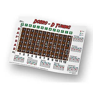 Dobro Open D Tuning Resonator Guitar Fretboard Note & Rolls Chart - Beginners & Intermediate Instructional Easy Poster Chords 11x17 | A New Song Music