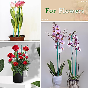 SupKing Plant Stakes,17&12 Inch Wood Plant Sticks 30 Pack Orchid Stake Sturdy Green Bamboo Plant Support Stake Gardening Floral Potted Plant Support