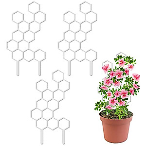 3 Pack Plastic Small Plant Trellis for Climbing Potted Plants- 15.7" × 7.9" Sturdy Honeycomb Shaped Plant Trellis Indoor Non-perishable Houseplant Trellis Starter for Outdoor Garden Flower Support