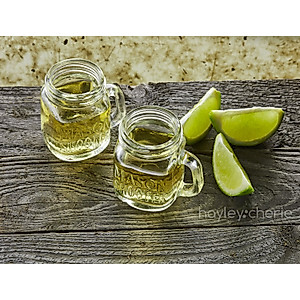 Hayley Cherie Mason Jar Shot Glasses with Leak Proof Lids (Set of 8) Mini Mason Shooter with Handles 2oz for Drinks, Liqueurs, Favors, Desserts, Parties, Gifts