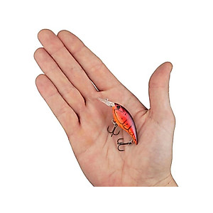 Berkley Money Badger Fishing Lure, Special Red Craw, 1/3 oz, 2.5in | 6.25cm, Hybrid Baitfish-Crayfish Design, Patented FlashDisc Technology, Equipped with Sharp Fusion19 Hooks
