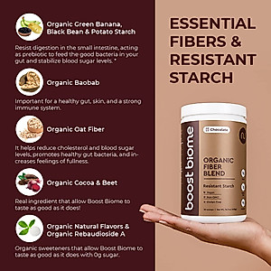 Boost Biome Fiber Supplement Organic Super Greens Powder – Supports Bloating Relief, Gut Health, Leaky Gut with Resistant Starch Powder - Green Banana Flour, Oat, Black Bean (30 Days, Chocolate)