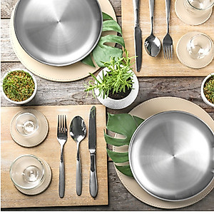 Dakneys Home & Living Stainless Steel Dinner Plates, Set of 4, 10-inch, Metal Plates for Eating, Camping, Adults and Kids,18/8 (304), Brushed (Matte Surface), Lightweight, Easy to Clean