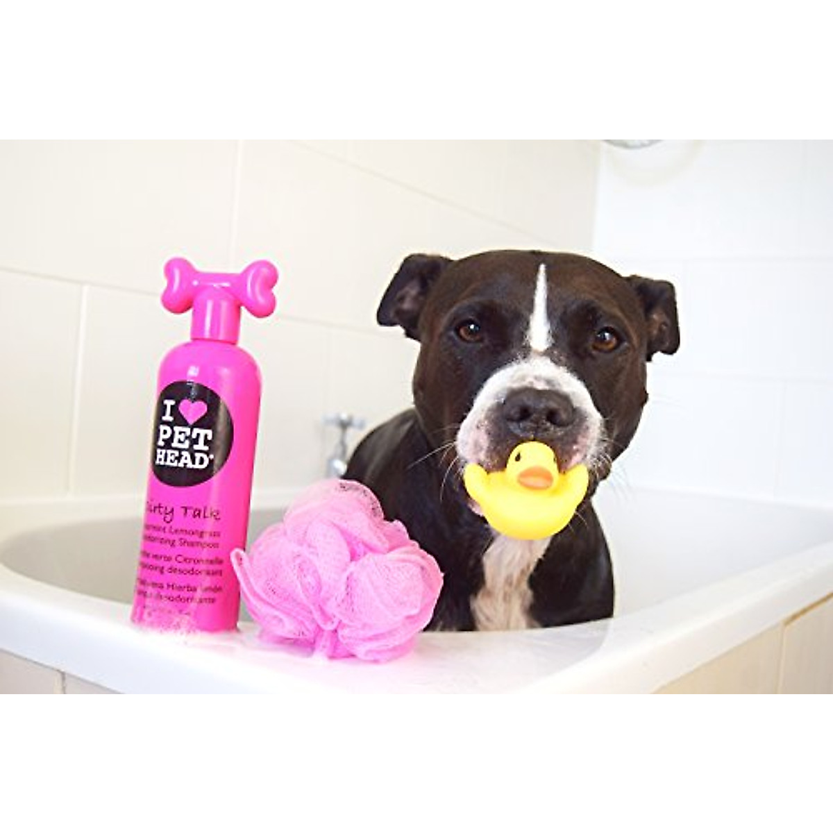 PET HEAD Life's An Itch Soothing Shampoo