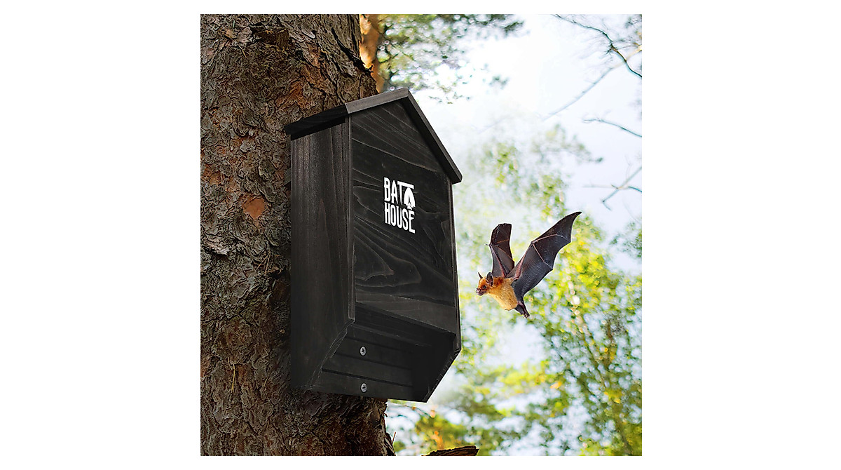 Big Bat House 15" Cedar - Safe Bat Roost & Natural Insect Control