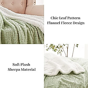 SunStyle Home Sherpa Fleece Blanket Full Sage Green Soft Cozy Plush Fluffy Flannel Thick Blanket Leaf Jacquard Luxury Winter Warm Reversible Blankets for Couch, Sofa, Bed 60X80